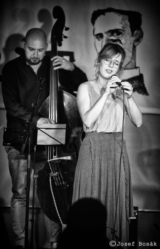 Allison Wheeler quartet | fotogalerie | Vrátnice