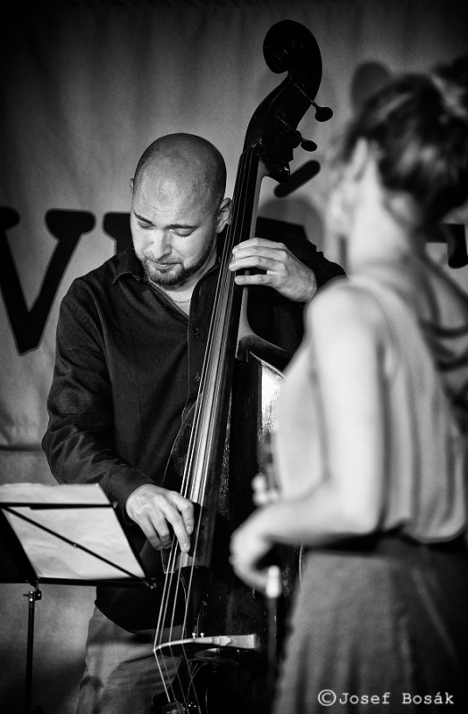 Allison Wheeler quartet | fotogalerie | Vrátnice